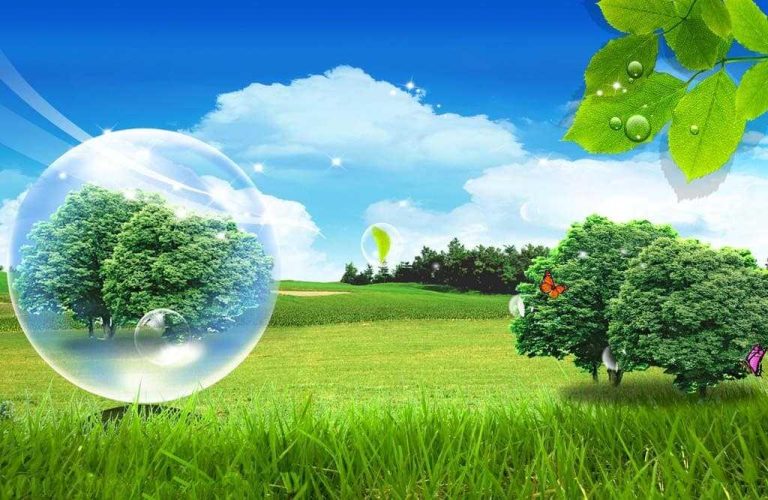 Understanding the Environment: Issues, Causes, and Examples ...