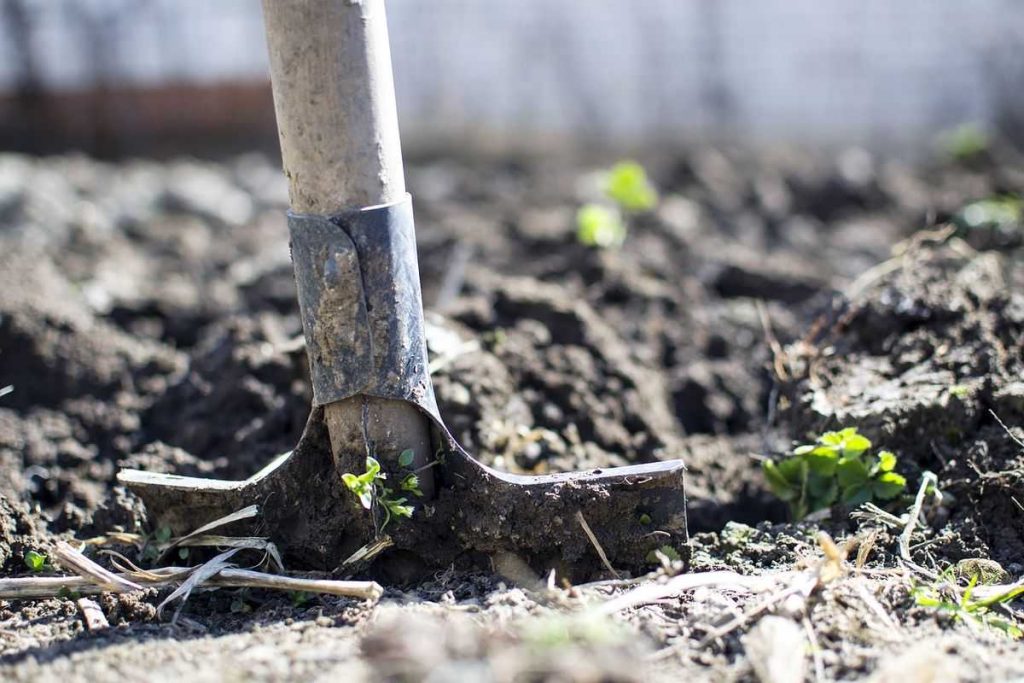 7 Basic Techniques for Preparing Soil for the Planting Season ...